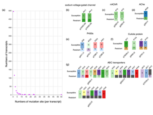 Study maps bed bugs’ genomes in unprecedented detail to find out why they just won’t die ...